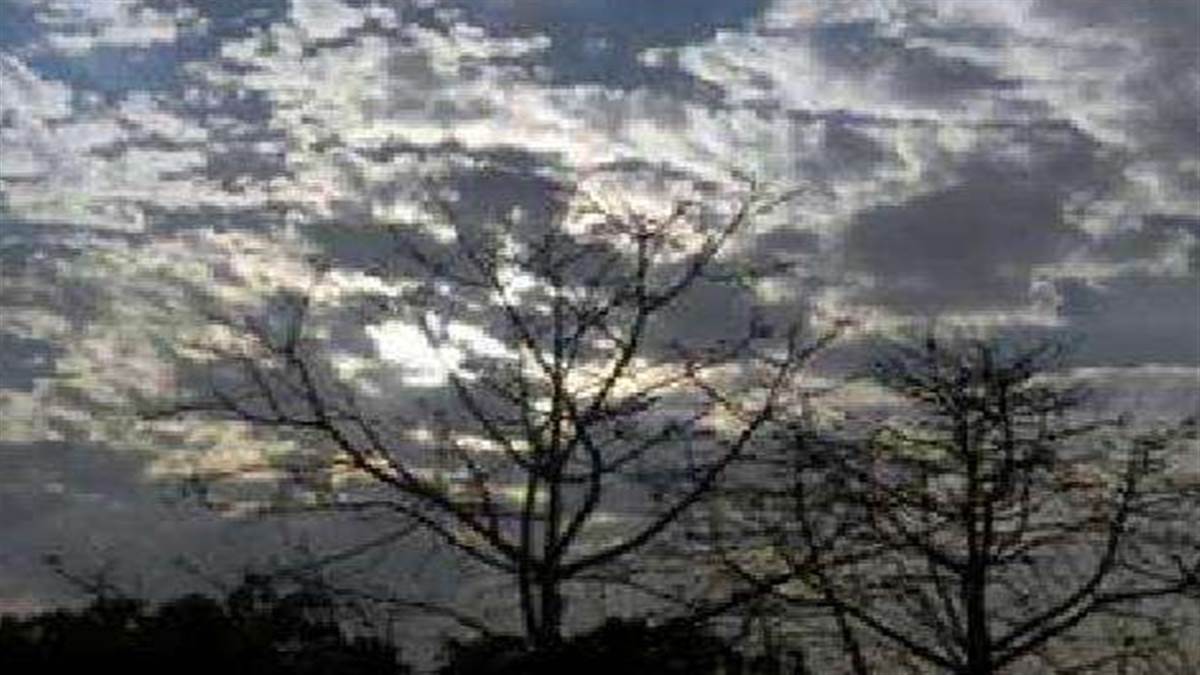 MP Weather Alert: अब रीवा और शहडाेल में शुरू हाे सकता है वर्षा का दौर