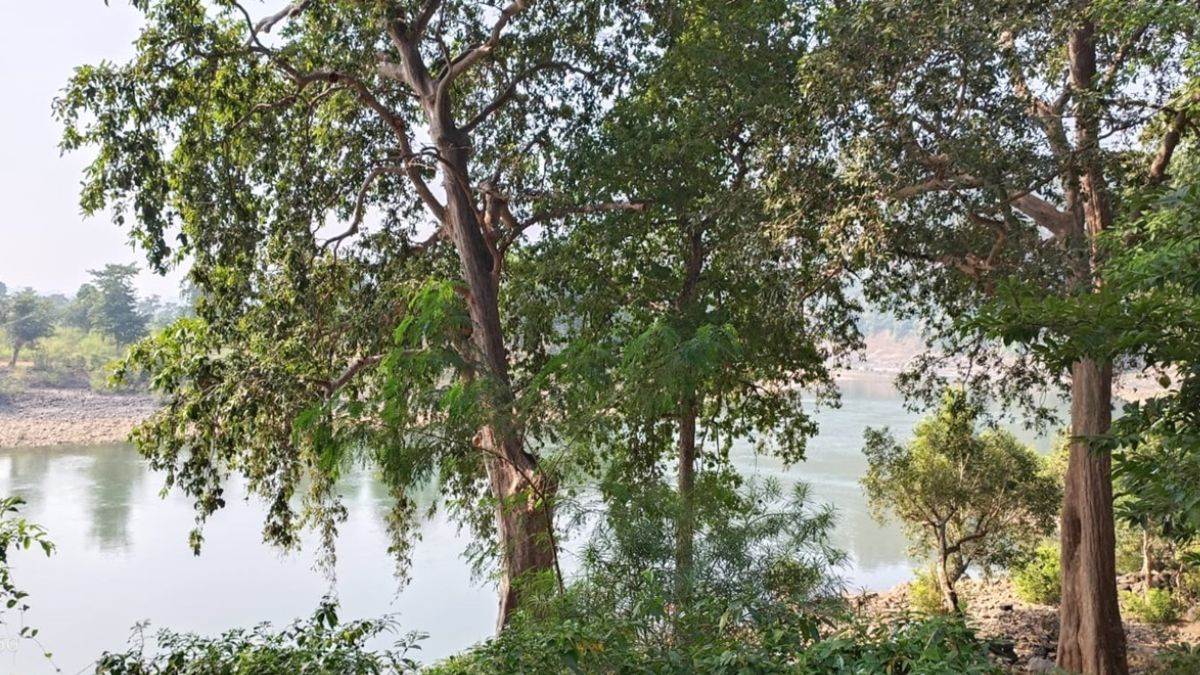 Mandla News: प्रकृति के उपासकों के लिए स्‍वर्ग से कम नहीं मंडला का यह ...