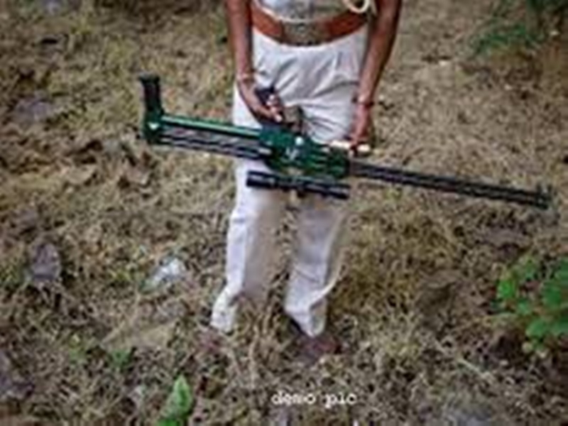 Madhya Pradesh Forest Department: वनरक्षक बंदूक तो खरीद सकेंगे, पर ...