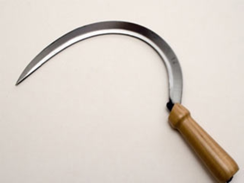 Madhya Pradesh News: घर में घुसकर छेड़खानी कर रहा था, महिला ने काट द ...