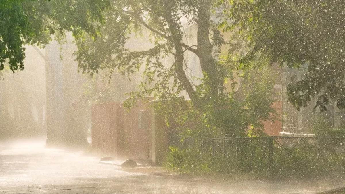 Jabalpur Weather Update: बादलों के साए में गुजरा दिन, रात में हुई हल्की ...