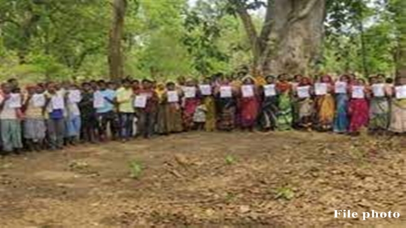 हसदेव के जंगल को बचाने सामाजिक संगठन आए आगे - Social organizations came ...