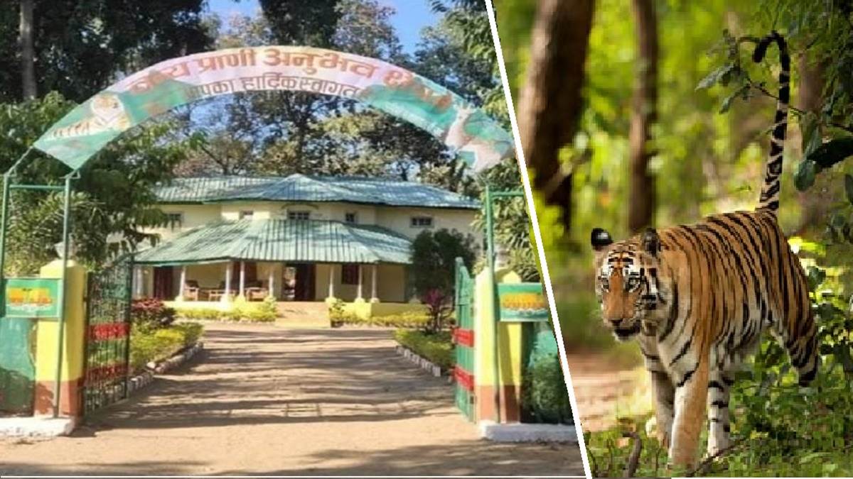 Wildlife Experience Area: बालाघाट स्थित सोनेवानी के जंगल में पर्यटक 11 ...