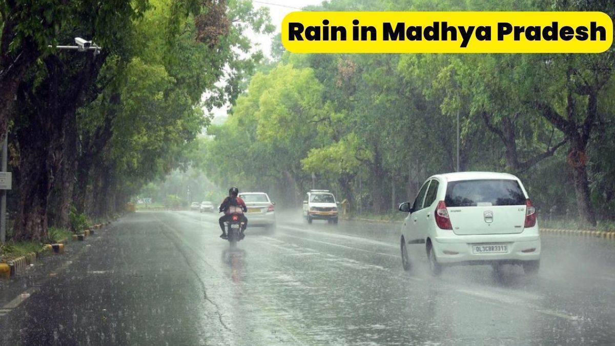 Rain in MP: मध्‍य प्रदेश में मानसून फिर सक्रिय, इन 10 जिलों में भारी ...