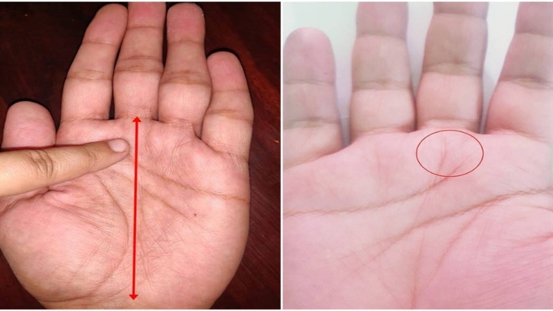 Palmistry: भाग्यशाली लोगों की हथेली में होती है शनि रेखा कुबेर देव की कृपा से बरसता है धन ...