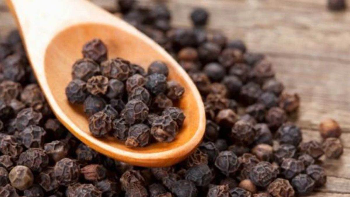 Black Pepper Test: मिलावटी तो नहीं है आपकी काली मिर्च, ऐसे करें असली ...