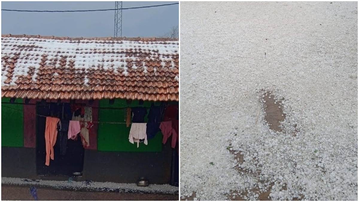 Balaghat News : तेज वर्षा, ओले गिरने से जगह-जगह बिछी बर्फ की सफेद चादर