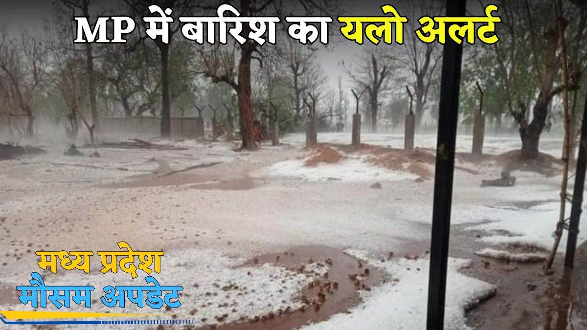 Weather of MP: मध्य प्रदेश में मौसम बदला, सिवनी-रीवा समेत कई जिलों में बारिश का यलो अलर्ट ...