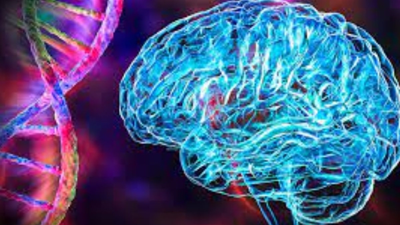 Brain Disease: शरीर के इन 5 लक्षणों की अनदेखी न करें हो सकती है बड़ी ...