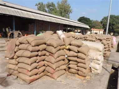 मंडी बंद, किसान औने-पौने दर पर राइस मिल व कोचियों के पास बेच रहे धान ...