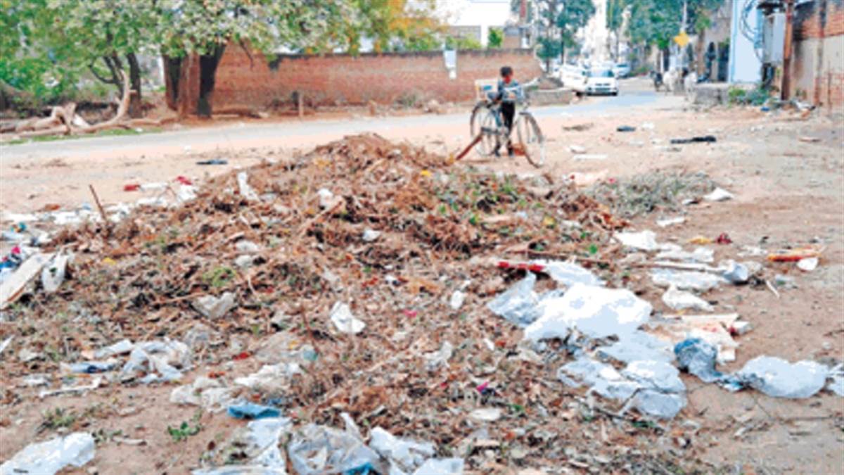 कचरा मुक्त शहर का सर्वे पूरा, अब चार चरणों में होगी अगली परीक्षा ...