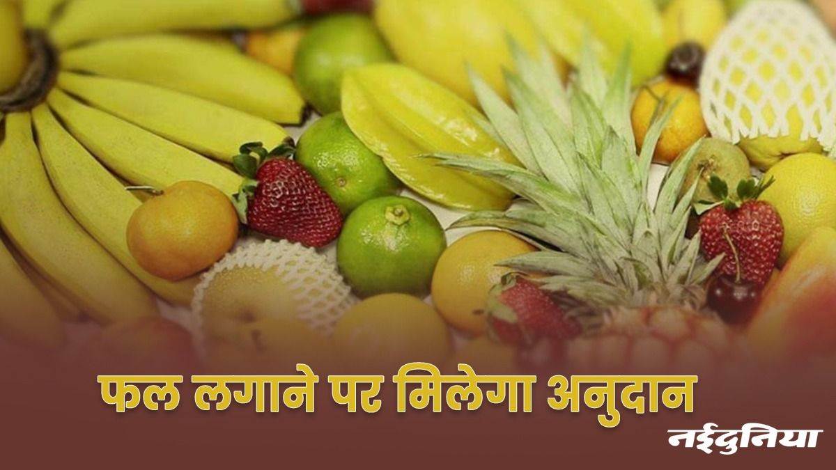 MP Fal Podha Ropan Yojana: किसानों के लिए खास योजना, फल लगाने पर अनुदान ...