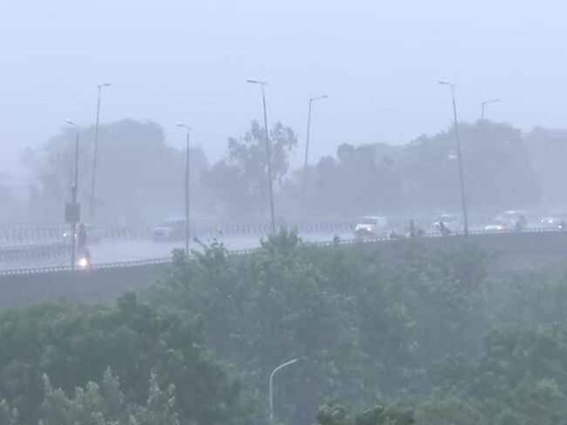 Jabalpur Weather News: जबलपुर में बदला मौसम का मिजाज, सुबह से छाया ...