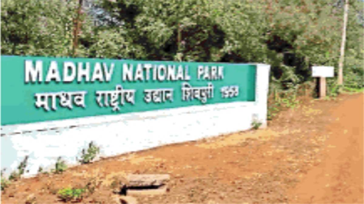 Madhav National Park News: माधव राष्ट्रीय उद्यान को मिला सैटेलाइट ...