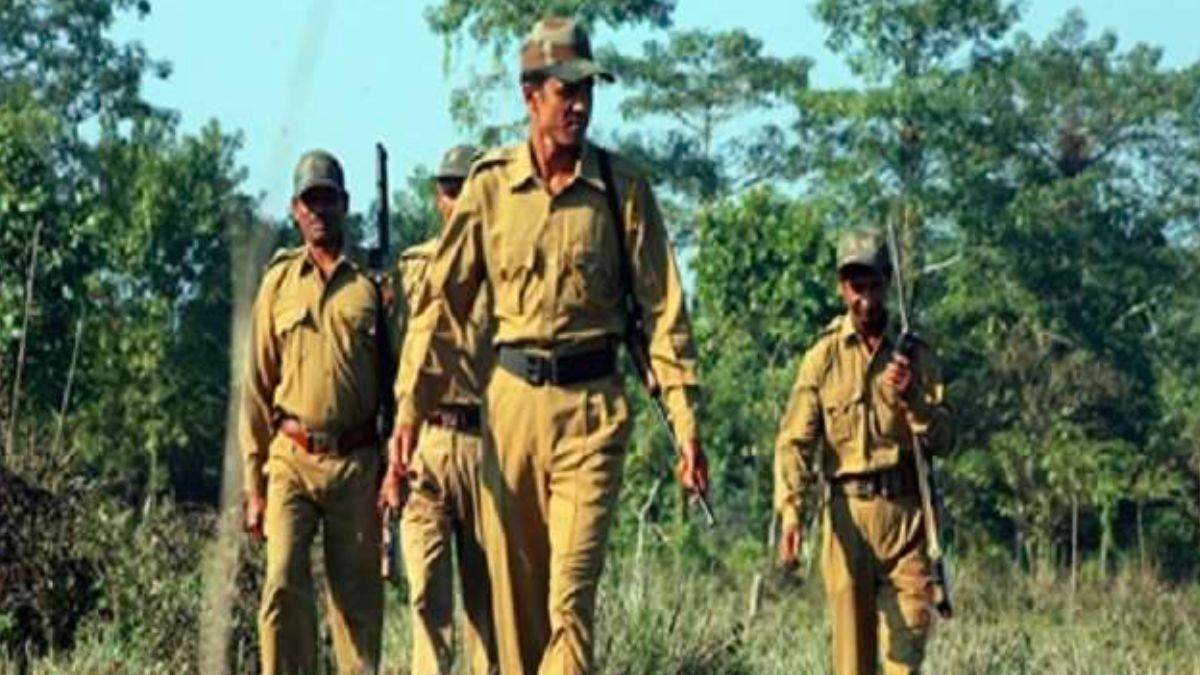 MP Forest Guards: वनरक्षक व क्षेत्ररक्षकों के अभ्यर्थियों की शारीरिक ...