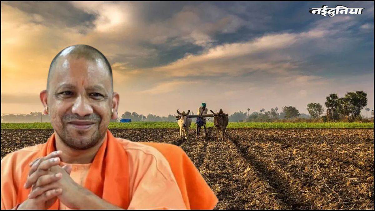 योगी सरकार ने दी बड़ी राहत, इस जिले के किसानों के खातों में आए 2 करोड़ 39 लाख - Yogi government ...