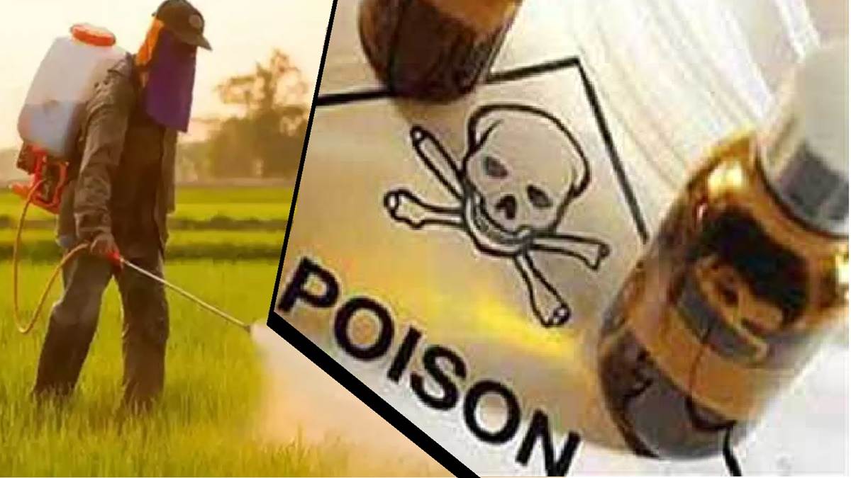 Balaghat News: खेत में छिड़काव करते समय धोखे से किसान के मुंह में चला ...