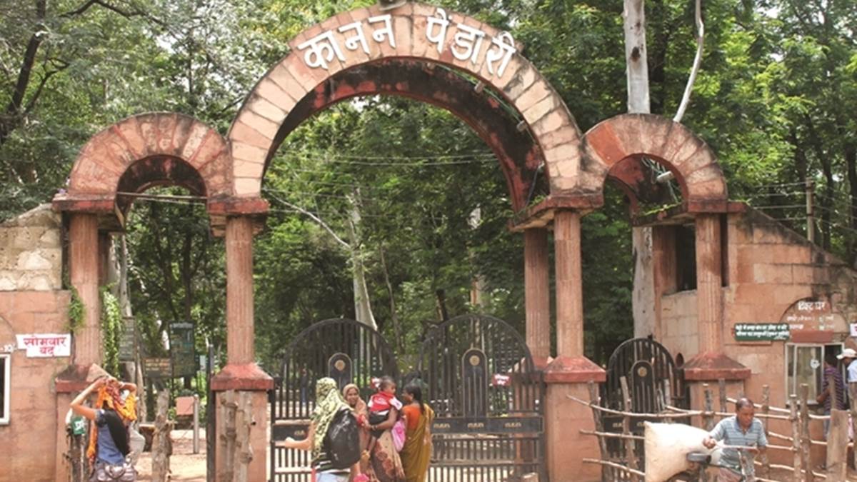 Kanan Pendari Zoo: बिलासपुर का कानन पेंडारी जू किस श्रेणी का चिड़ियाघर ...