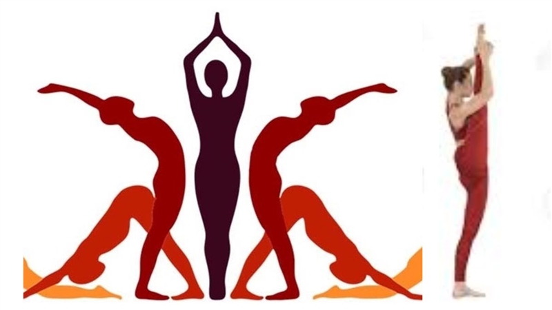 Yog Aasan: रोजाना सूर्य नमस्कार करने से शरीर के सभी अंग होते हैं मजबूत ...