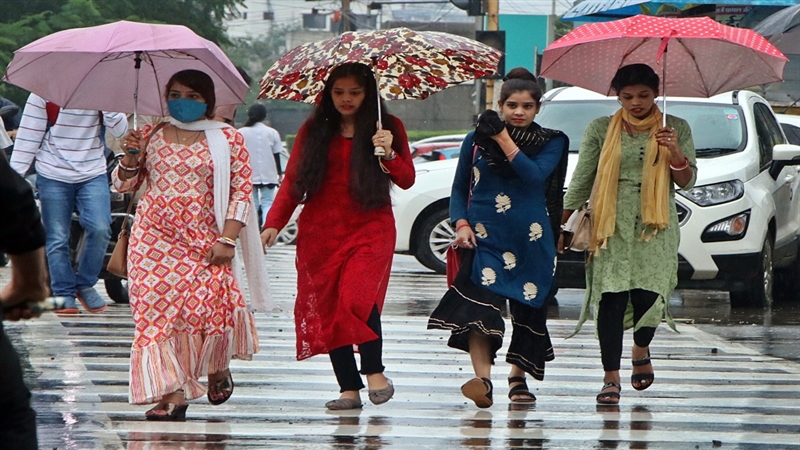 Indore Weather Update: इंदौर जिले के स्कूलों में आज अवकाश जारी रह सकता ...