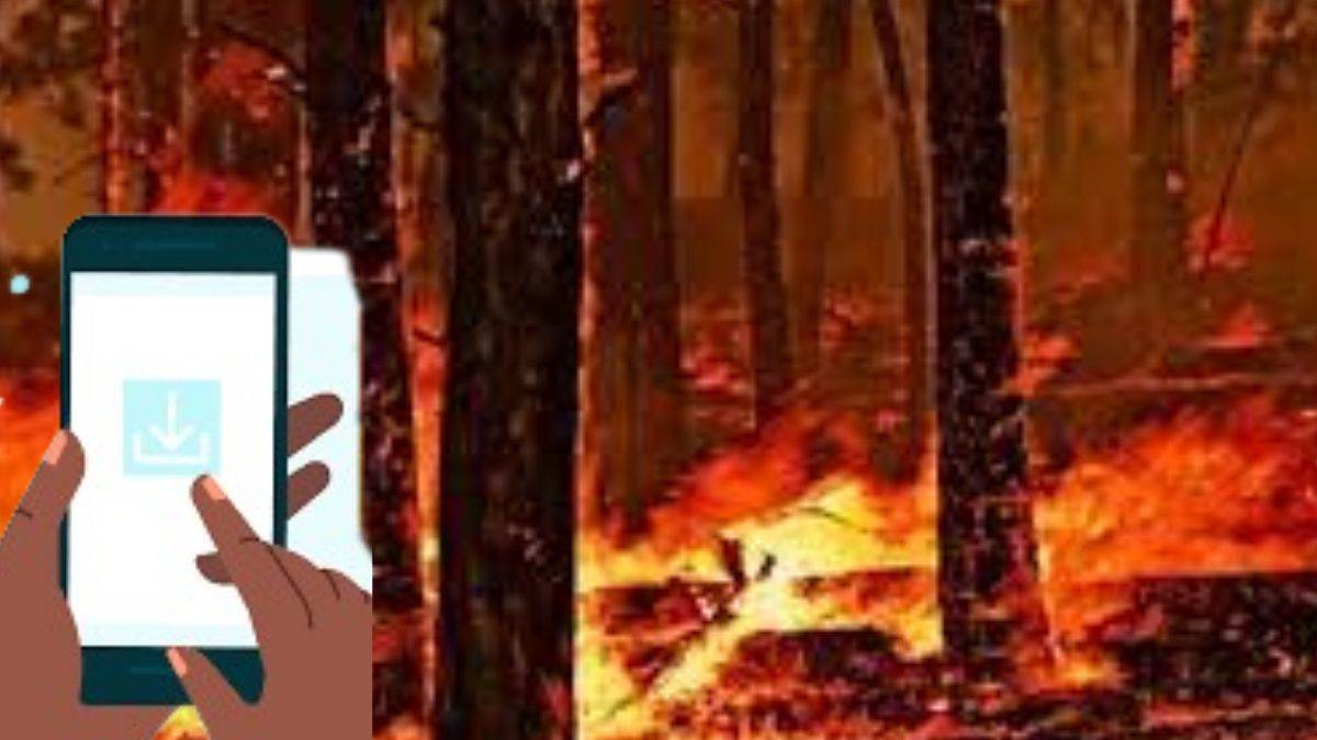 MP News: मप्र का फारेस्ट फायर कंट्रोल माडल देशभर में होगा लागू, एप के ...
