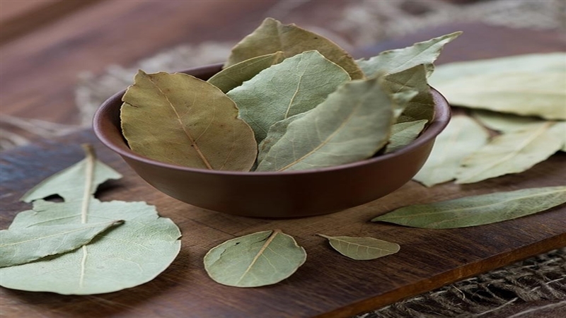 Bay Leaf Remedies: हाई कोलेस्ट्रॉल को कम करने में फायदेमंद है तेज पत्ता ...