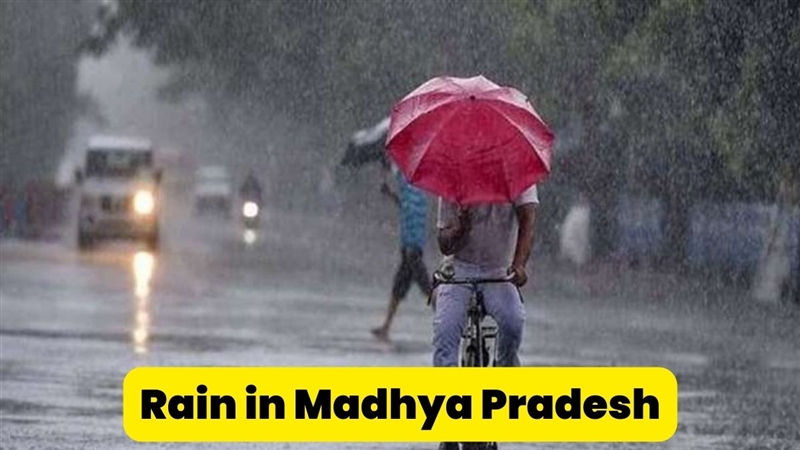MP Weather Update: रीवा सतना सीधी और सिंगरौली समेत आठ जिलों में बारिश ...