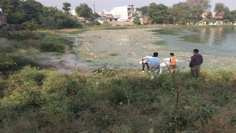 Jabalpur News : ताल-तलैयों वाले में शहर में जलस्रोतों की नहीं कदर ...