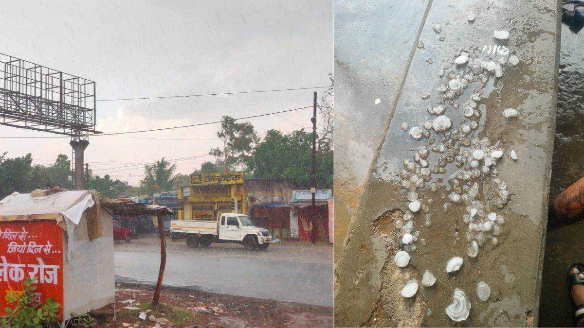 Shahdol Weather Update: शहडोल में 4:30 बजे 10 मिनट तक हुई झमाझम बरसात ...