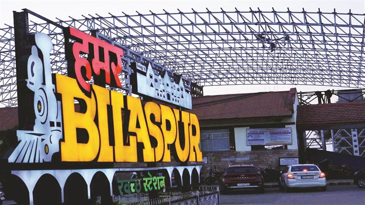 Bilaspur News: सड़कों पर मवेशियों का जमावड़ा,गोठान में पसरा सन्नाटा - Gathering of cattle on the ...