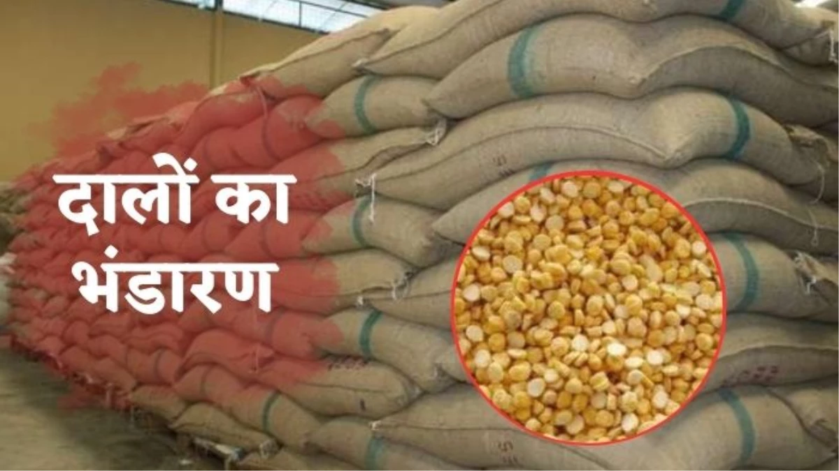 चने और तुअर की दालों की भंडारण सीमा तय, नियम तोड़ने पर होगी राजसात की ...