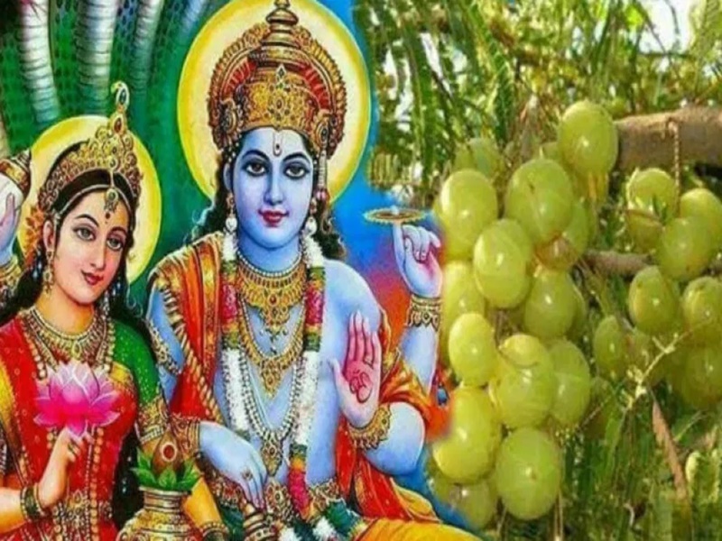 Akshay Navami 2020: आज रखा जाएगा अक्षय नवमी का व्रत, जानिए पूजा का ...