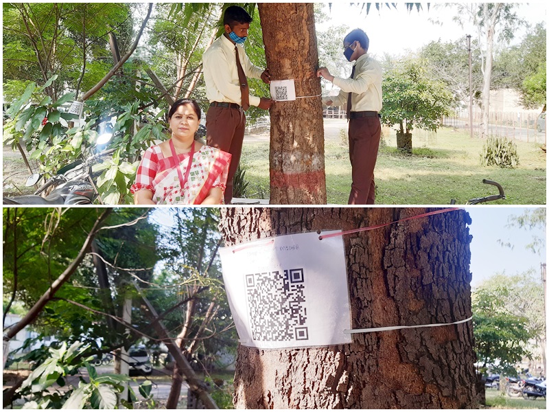 सतना के स्‍कूल में क्यूआर कोड से हर पेड़ की विशेषता बताने की पहल ...
