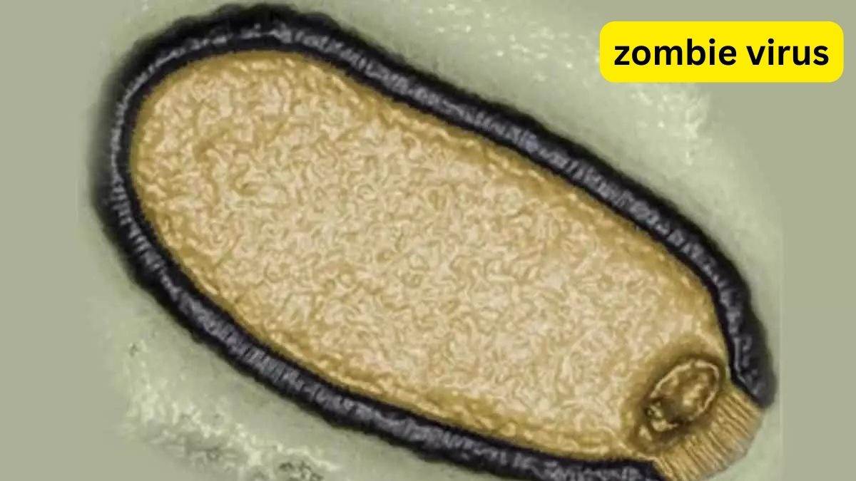 Zombie Virus: आर्कटिक की बर्फ में 48,500 साल से दबा है जोम्बी वायरस ...