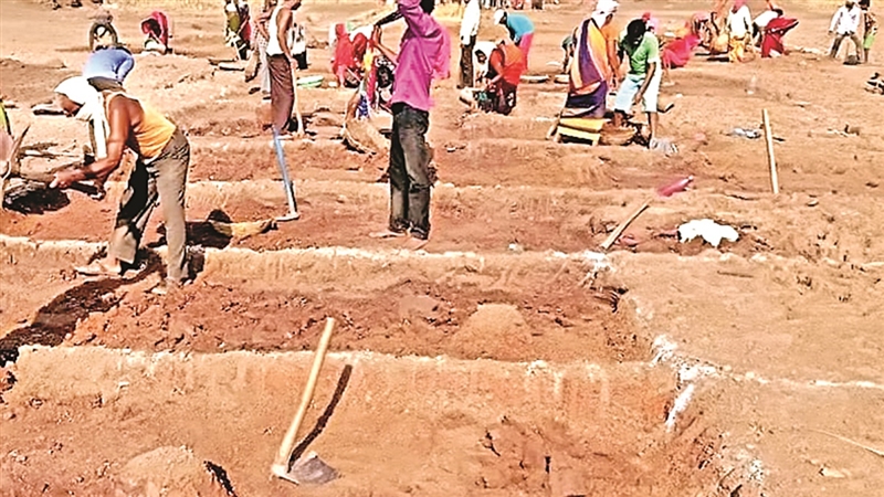 MNREGA: रायपुर में मनरेगा के आंकड़े चिंताजनक: 1560 श्रमिक परिवारों को ...