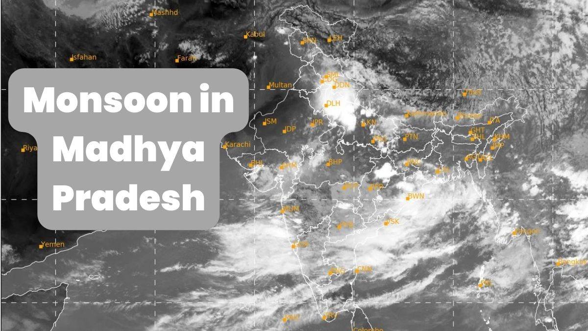 Monsoon in MP: मानसून ने मध्य प्रदेश में किया प्रवेश, 5 से 6 दिनों तक हो सकती है भारी बारिश ...
