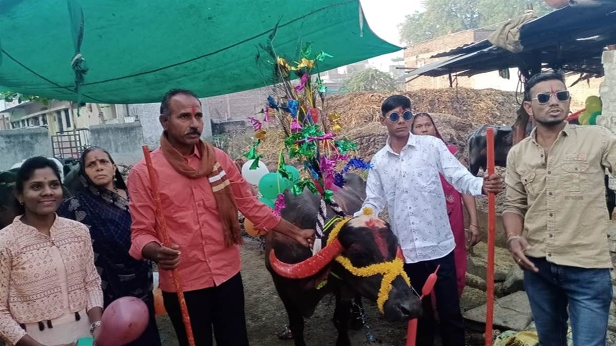 Diwali 2022: खरगोन जिले में दीप पर्व पर निमाड़ की एक विशेष परंपरा का ...