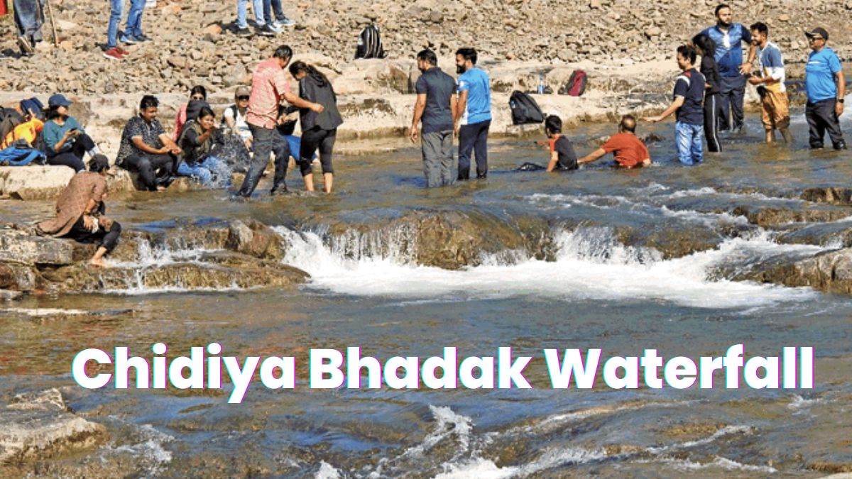 Chidiya Bhadak Waterfall: पीछे छोड़कर शहरों की तकड़-भड़क, सुकून पाने ...