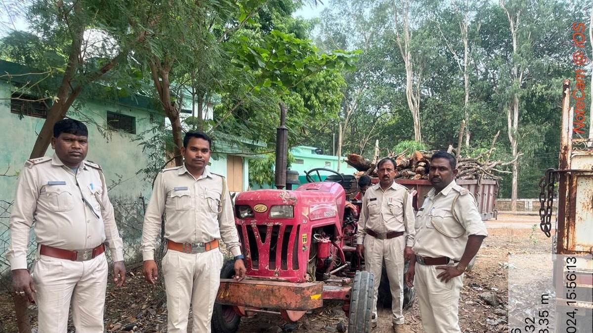 Korba News: हरे भरे साल पेड़ को काटकर ट्रैक्टर ट्राली में ले जाते पकड़ा ...