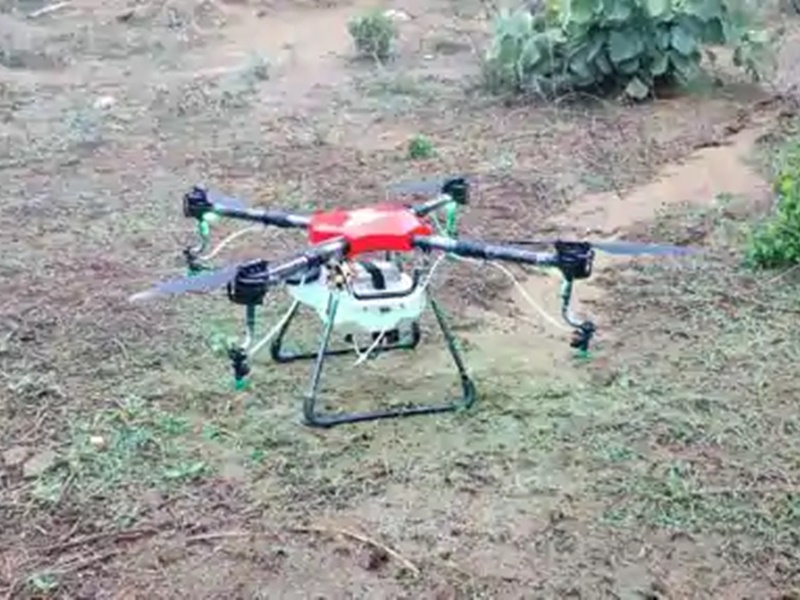 Tiddi Dal Attack: ड्रोन से रेगिस्तानी टिड्डियों को नियंत्रित करने वाला ...