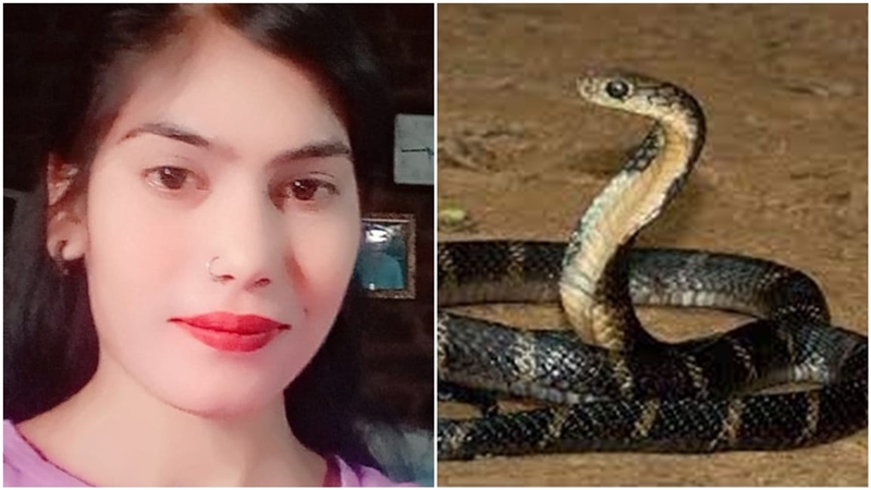 Khargone News: Video अस्पताल में अंधविश्वास का खुला खेल सर्पदंश पीड़ित ...