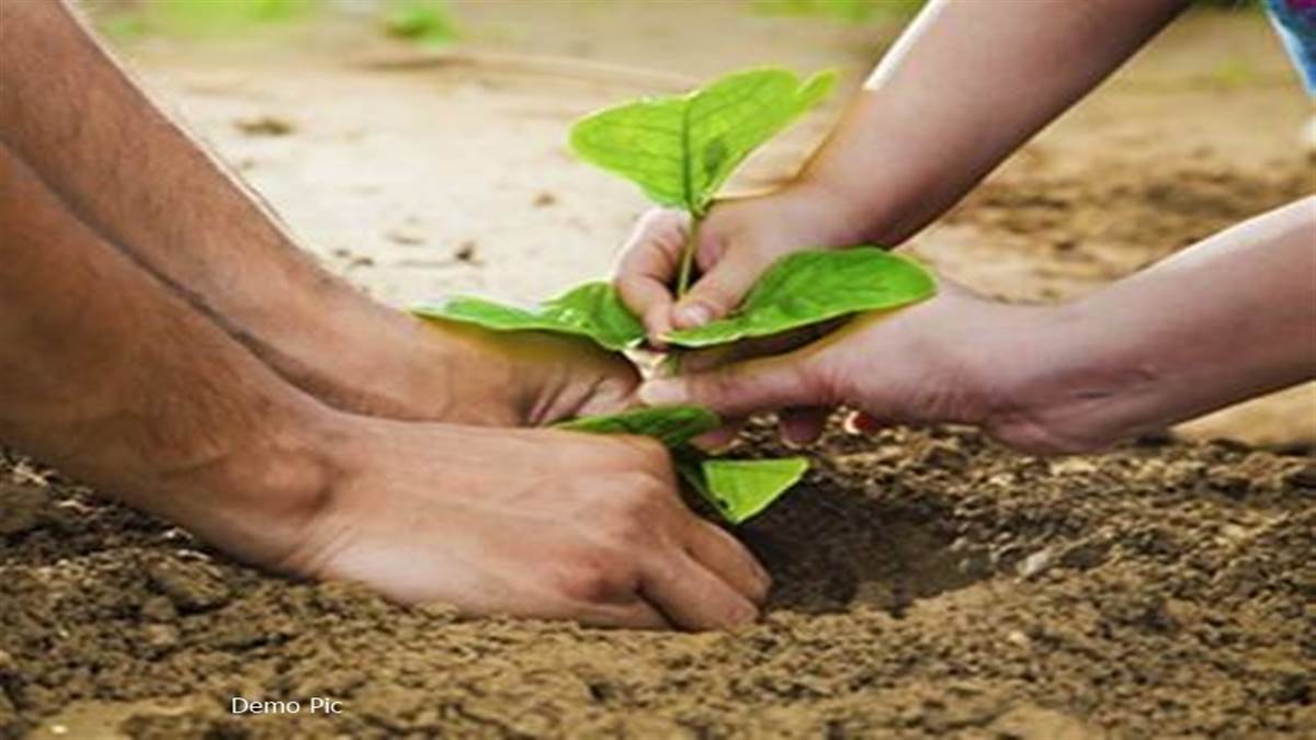 आरएसएस का पर्यावरण प्रेम: पेड़ों की पूजा करके लोग कहेंगे धन्यवाद, 28 को ...