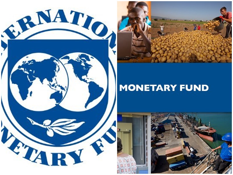 IMF : 2021 में भारत 11.5 प्रतिशत की दर से बढ़ेगा, आईएमएफ ने जताया वृद्धि का अनुमान ...