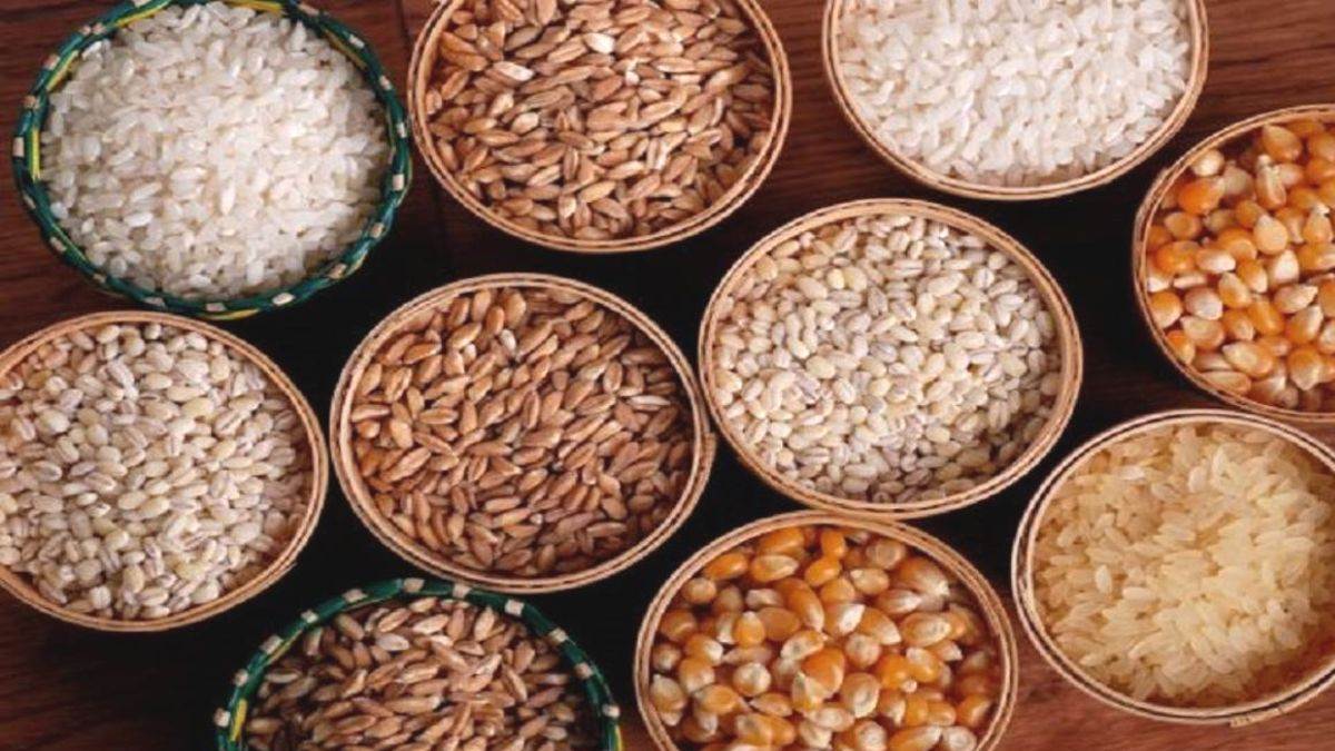 Millets Mela in MP: वीडियो के जरिए मोटे अनाज के उपयोग को प्रोत्साहित ...