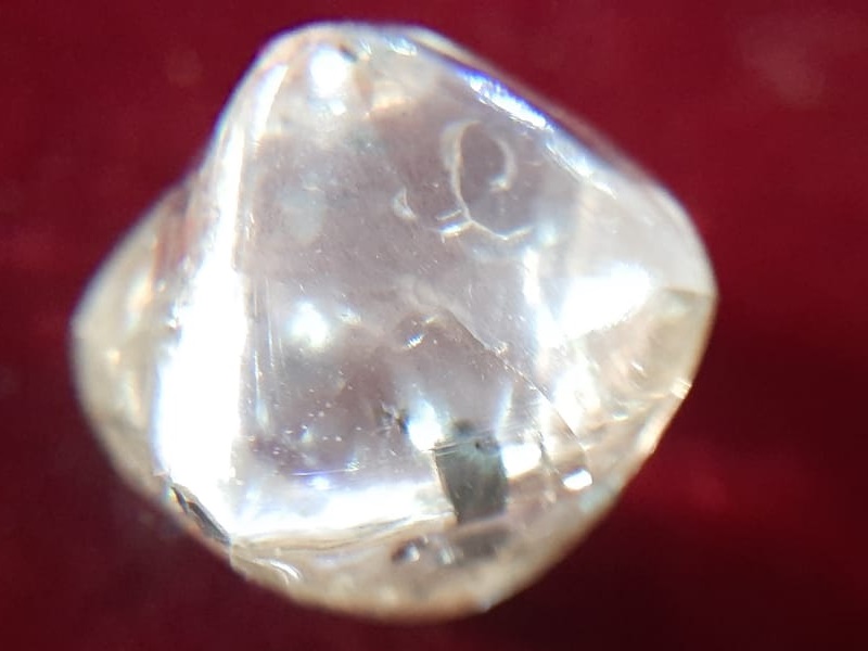 Panna Diamond: एक करोड़ 62 लाख में बिका पन्ना का नायाब हीरा