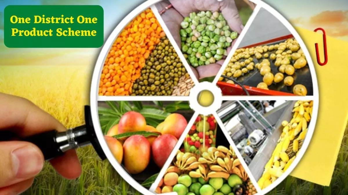 One District One Product: एक जिला एक उत्पाद की ब्रांडिंग करेगी मध्‍य ...