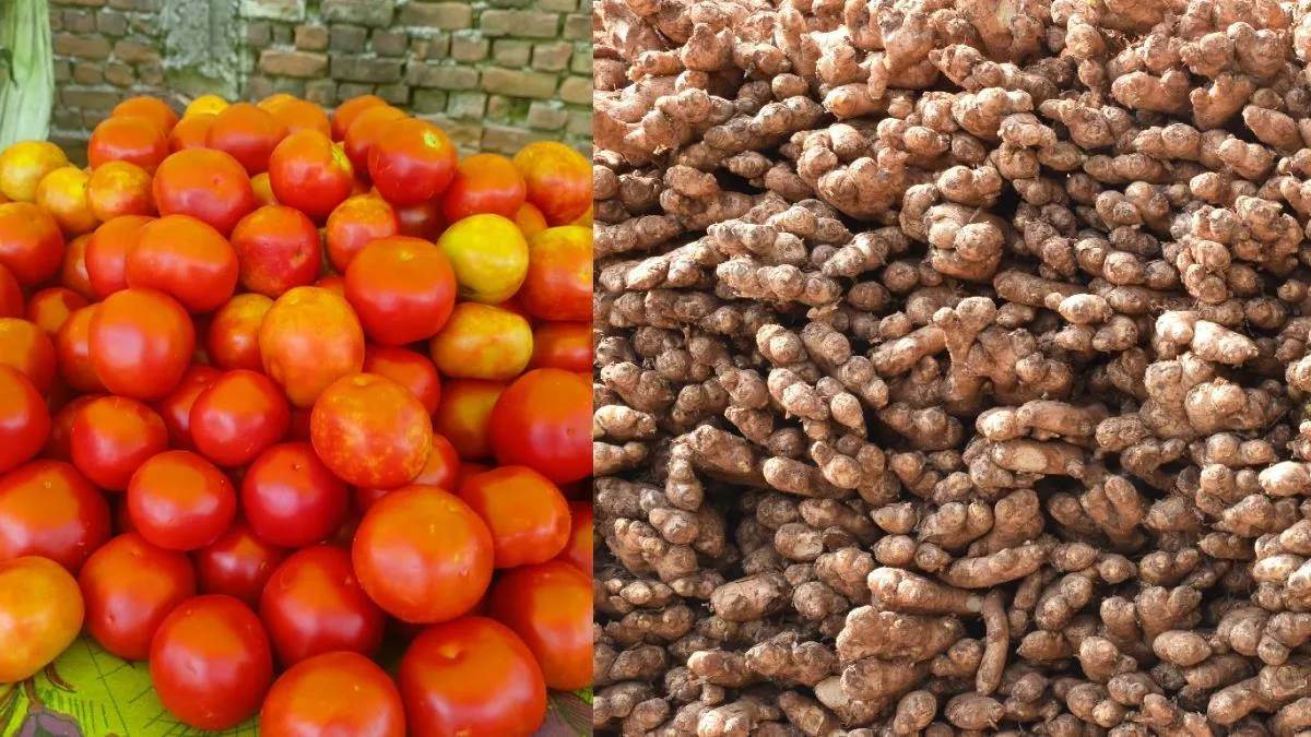 Vegetable Price Indore: महाराष्ट्र के भरोसे इंदौर में सब्जियों की ...