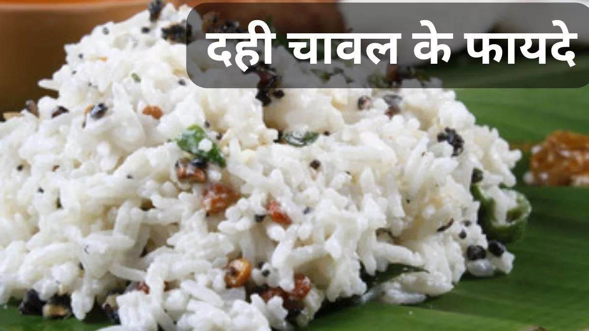 Curd Rice Benefits: वेट लॉस के लिए सबसे अच्छा ऑप्शन है दही-चावल, मिलते ...