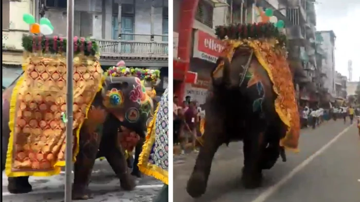अहमदाबाद में जगन्नाथ रथ यात्रा के दौरान डीजे की तेज आवाज से बेकाबू हुए ...