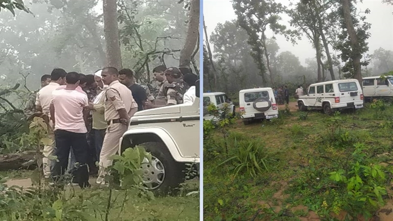 हसदेव अरण्य में पेड़ों की कटाई शुरूबड़ी संख्या में पुलिस बल तैनात ...